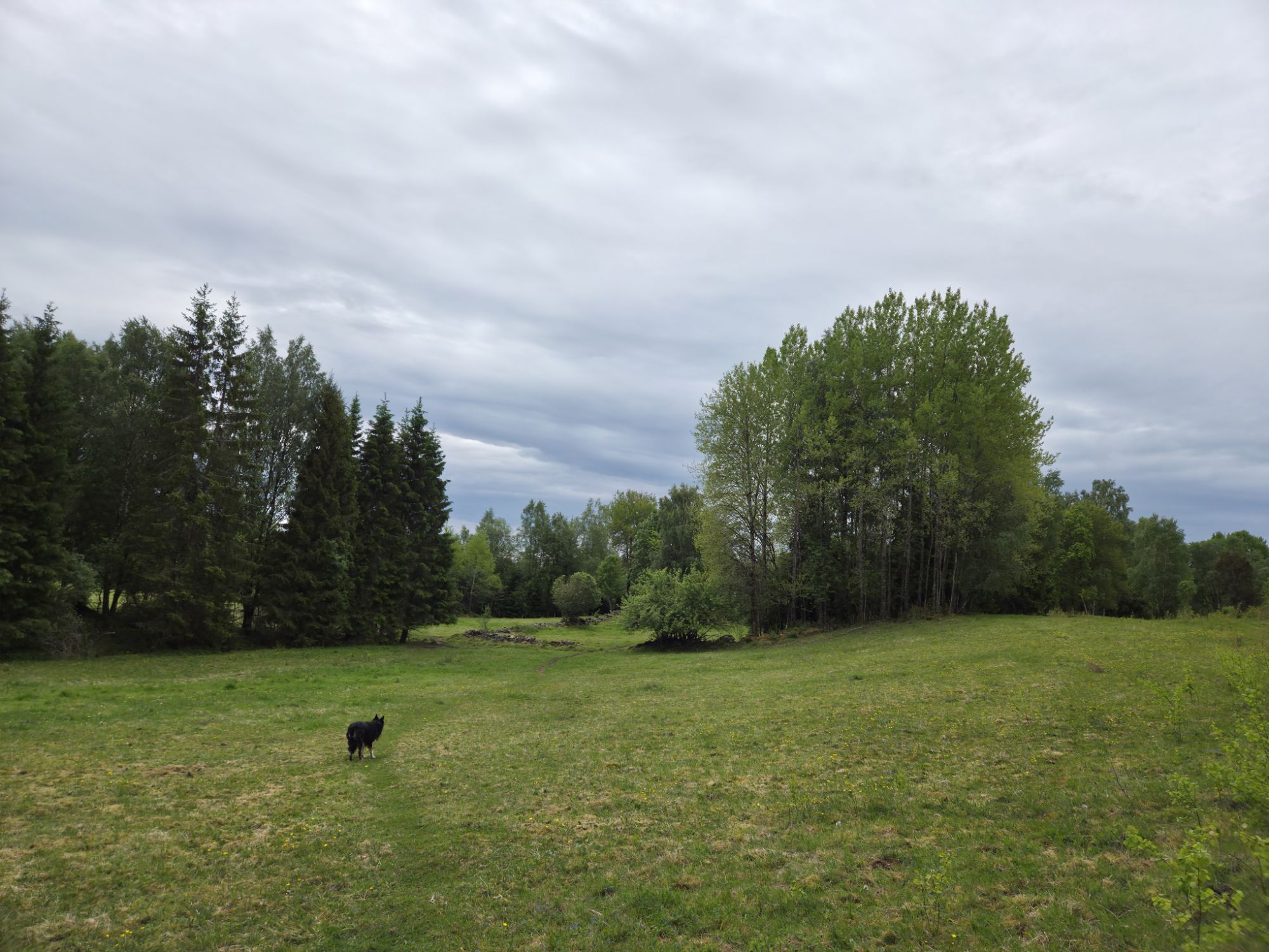 Those small quiet moments – Wonderer of Nature